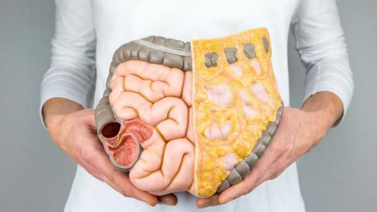 Estômago Vazio Sentindo - Causas E Outros Sintomas - PuroMD