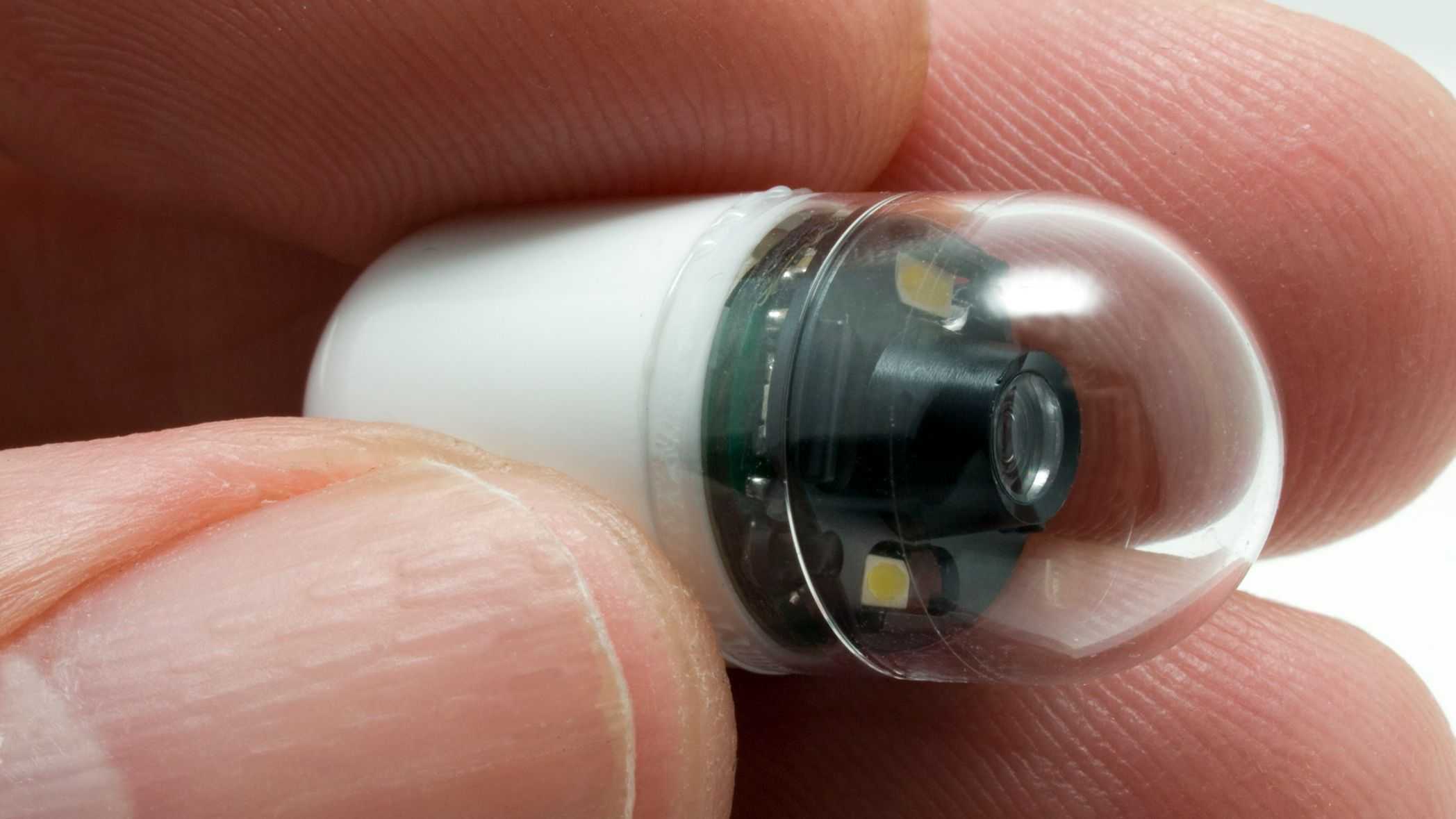 Endoscopia De Intestino Delgado Ou Cápsula - Procedimento, Vídeo E ...