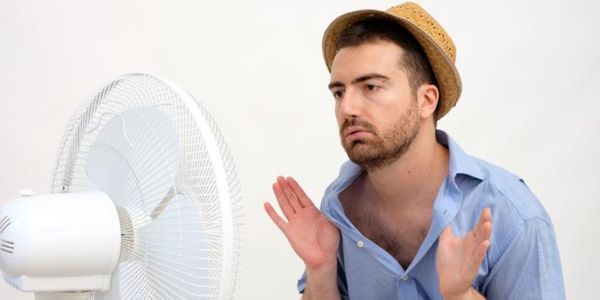 Anidrose E Hipo-hidrose (sem Transpiração E Baixa Transpiração) - PuroMD