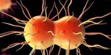 Gonorréia (homens, Mulheres) Sintomas, Recaída, Tratamento - PuroMD