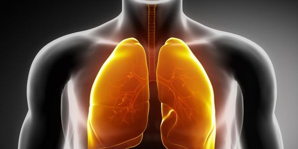 5 Sinais De Problemas Pulmonares (Doenças Pulmonares) - PuroMD