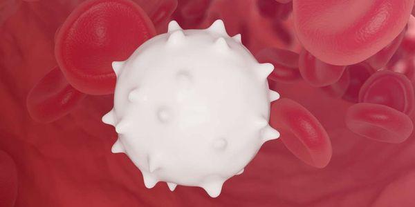 Baixa Contagem De Glóbulos Brancos (leucopenia) Sintomas E Causas - PuroMD