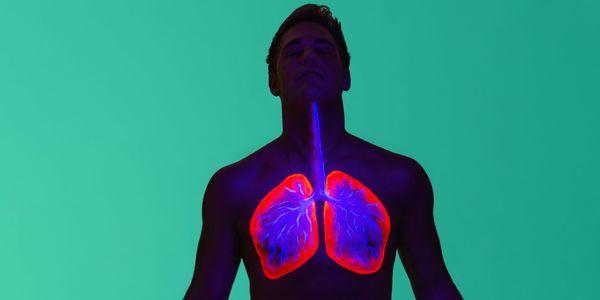 Processo De Respiração Em Humanos - Diagrama - PuroMD